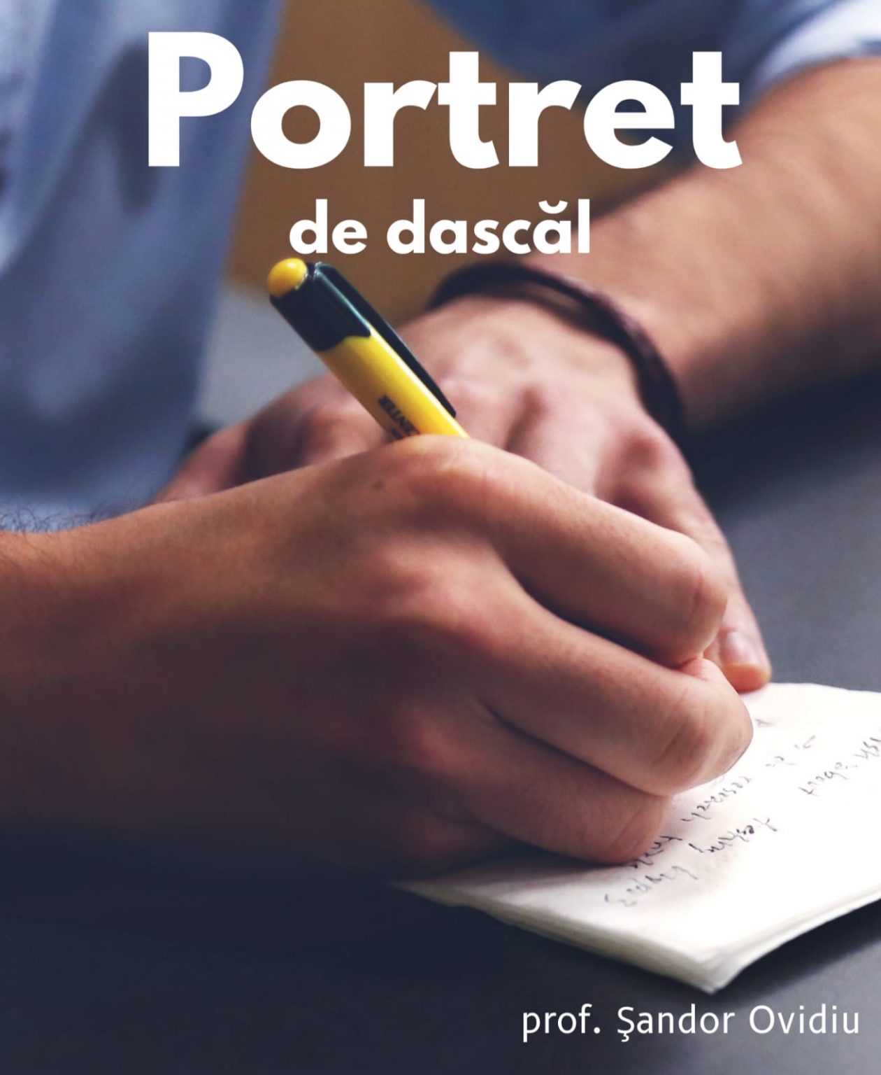 Portret de dascăl – Blogul Școlii „Dr. Ioan Mihalyi de Apșa” Sighetu ...